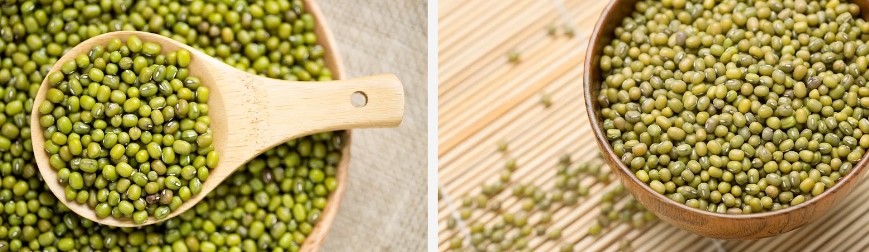 The Benefits Of Mung Bean Protein For Your Health And Fitness Goals