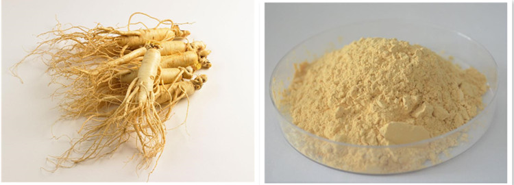 Value Of Ginseng Extract