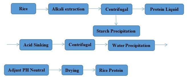 Extraction Method Of Rice Protein