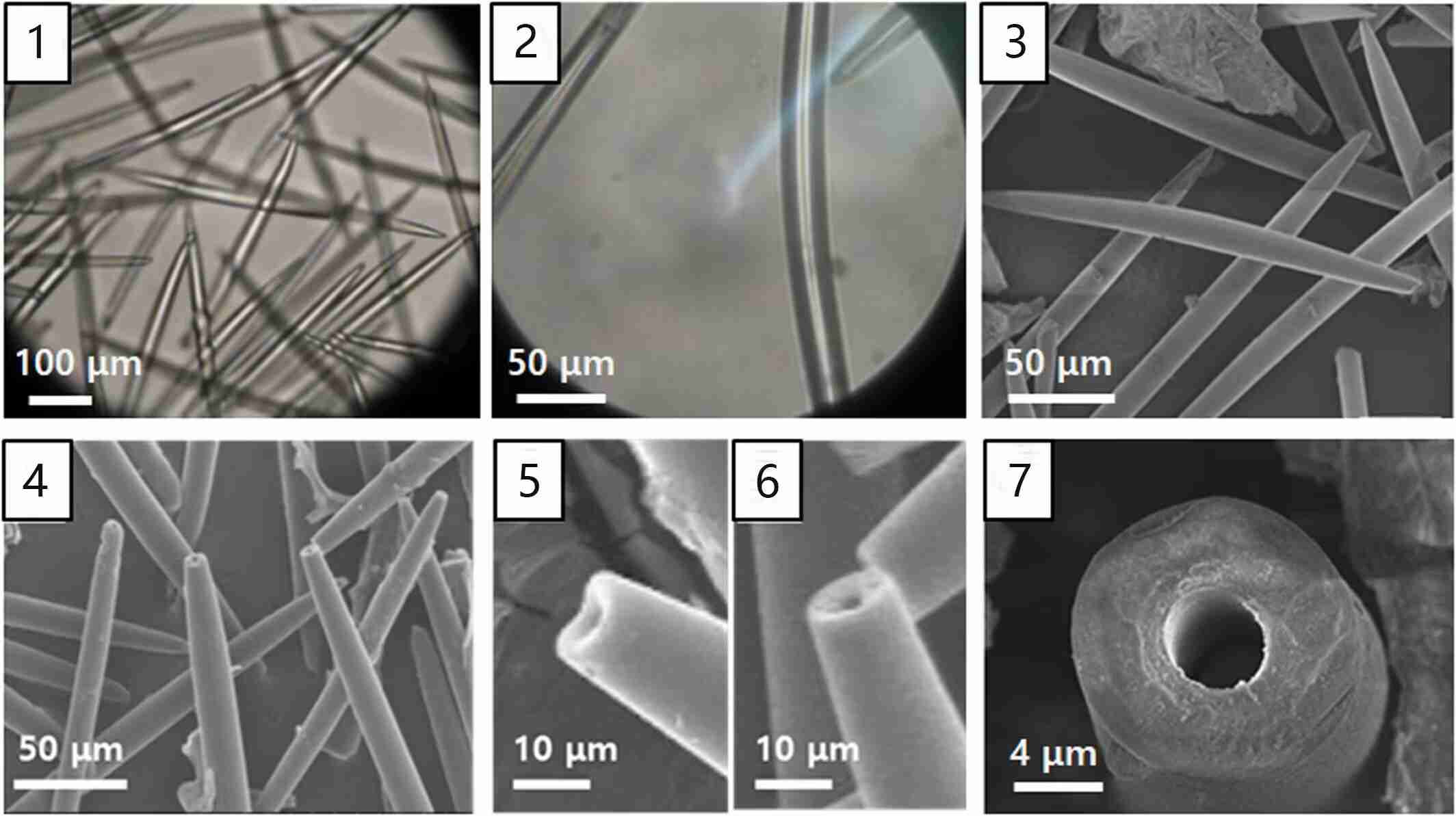 OEM ODM Sponge Spicule Powder Manufacturers Suppliers Factory,Bulk ...